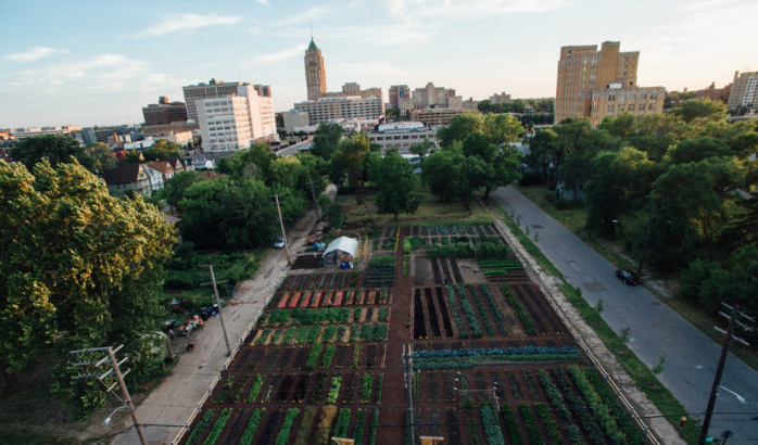 The 10 Most Popular Urban Farming Articles