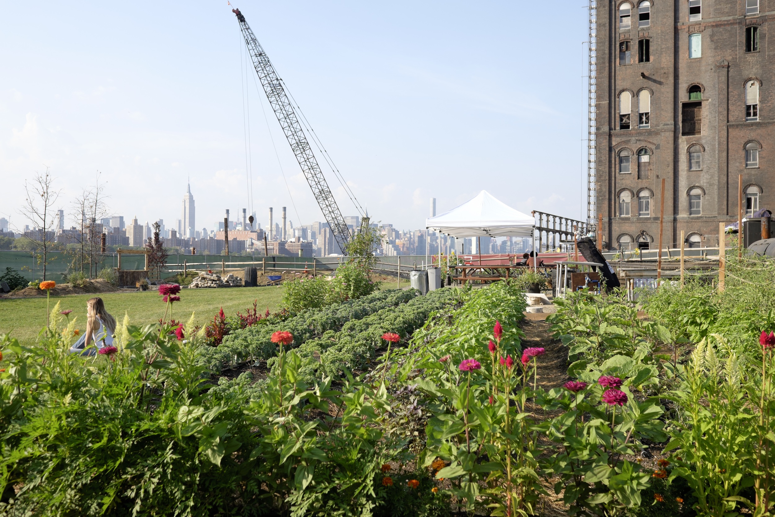 A Simple Guide To Urban Farming In New York City