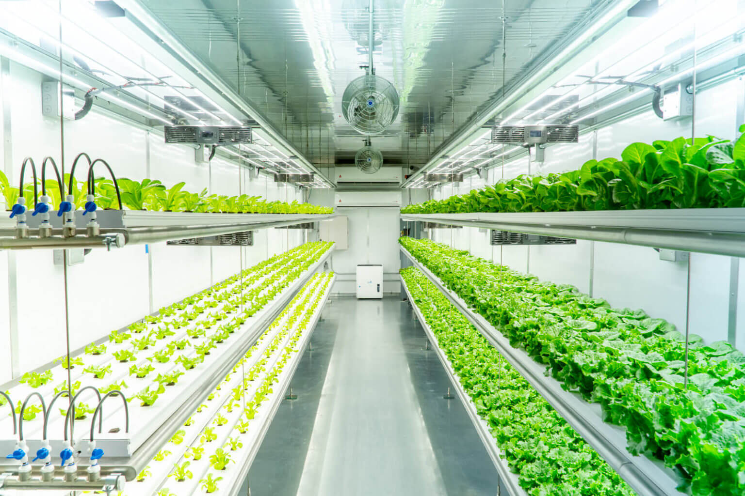 What is Container Farming?