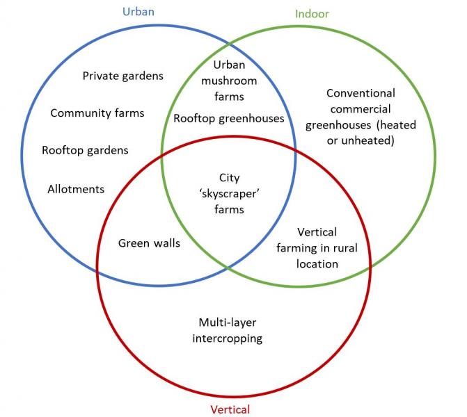 Vertical Farming 2021 (The MEGA Report)