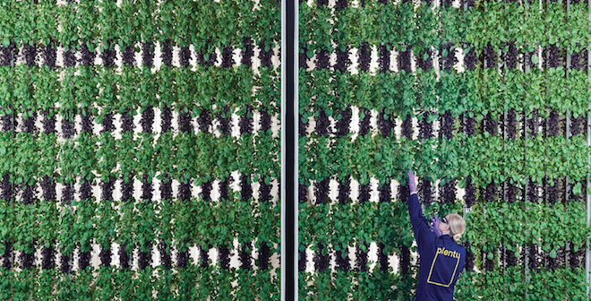 Plenty - Vertical Farming Company Summary