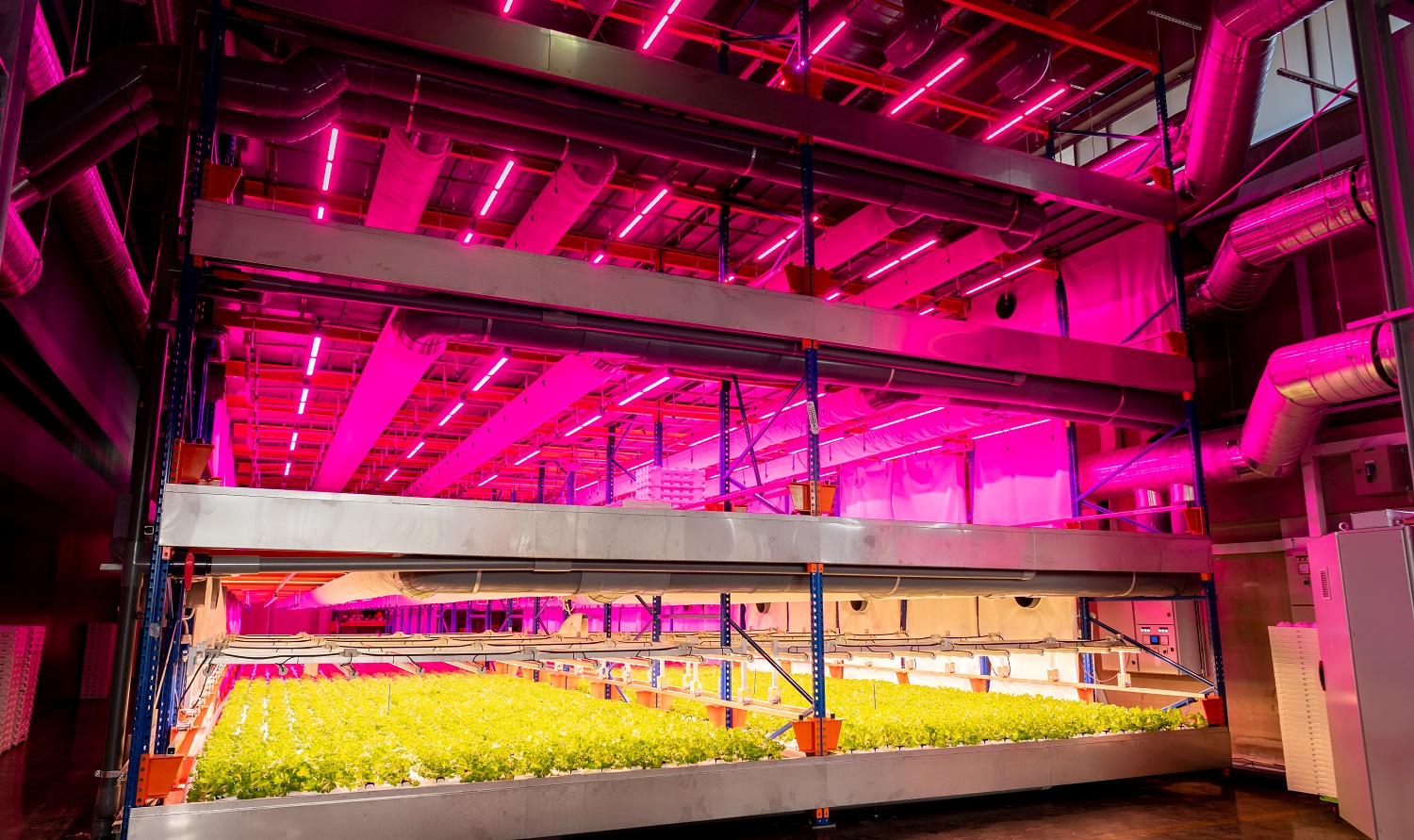 Urban Farming Partners Singapore