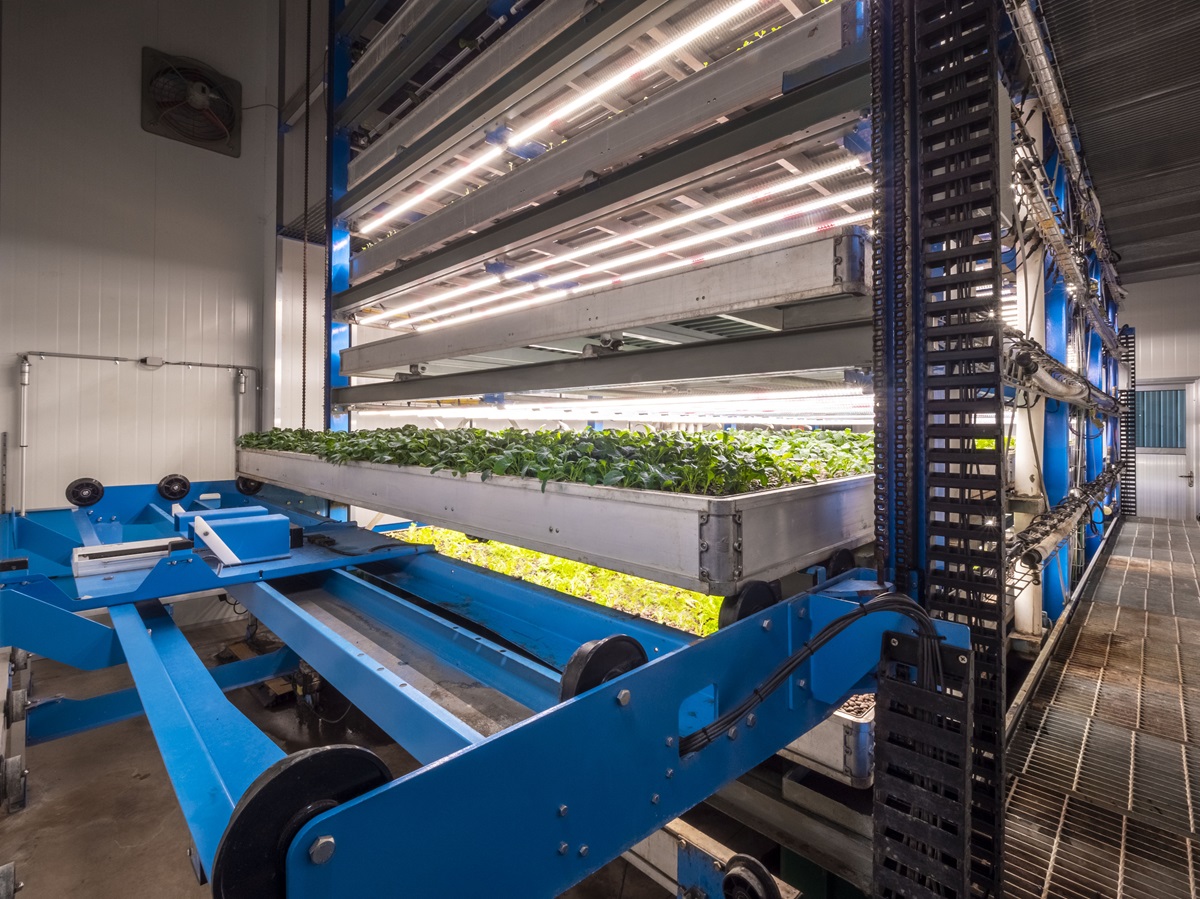 Vertical Farm Systems