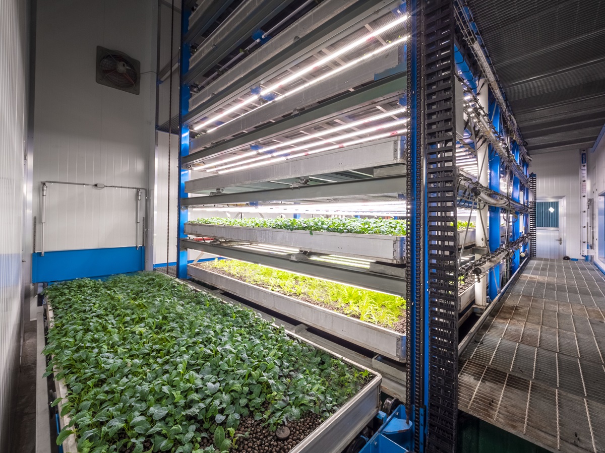 Vertical Farm Systems