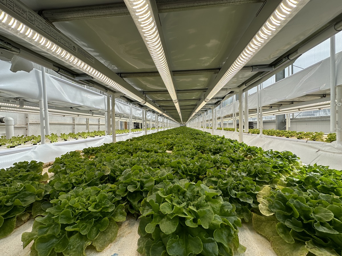 Ceres Greenhouse Solutions