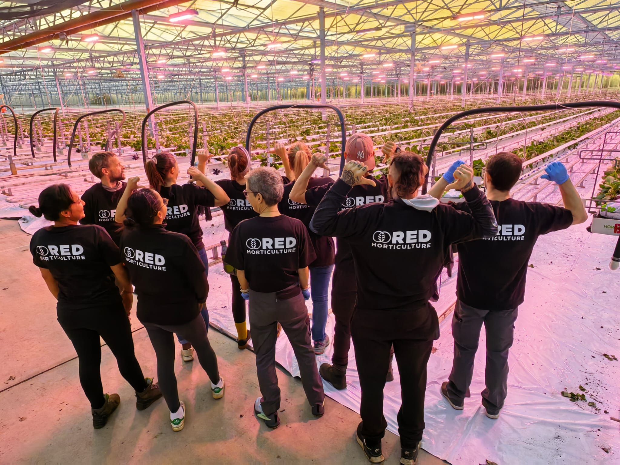 RED Horticulture