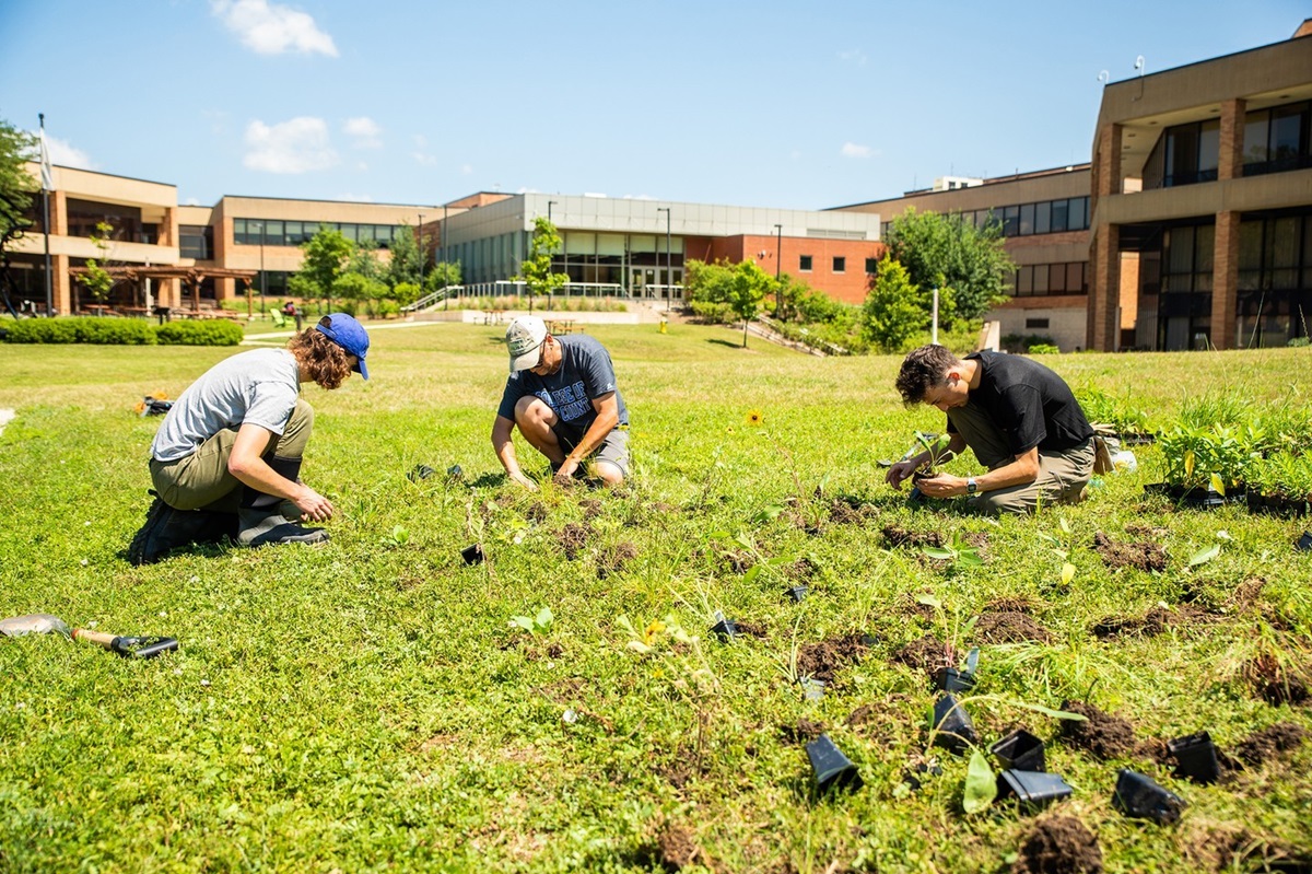 Seeds For Urban Farming 101: A Quick & Simple Guide