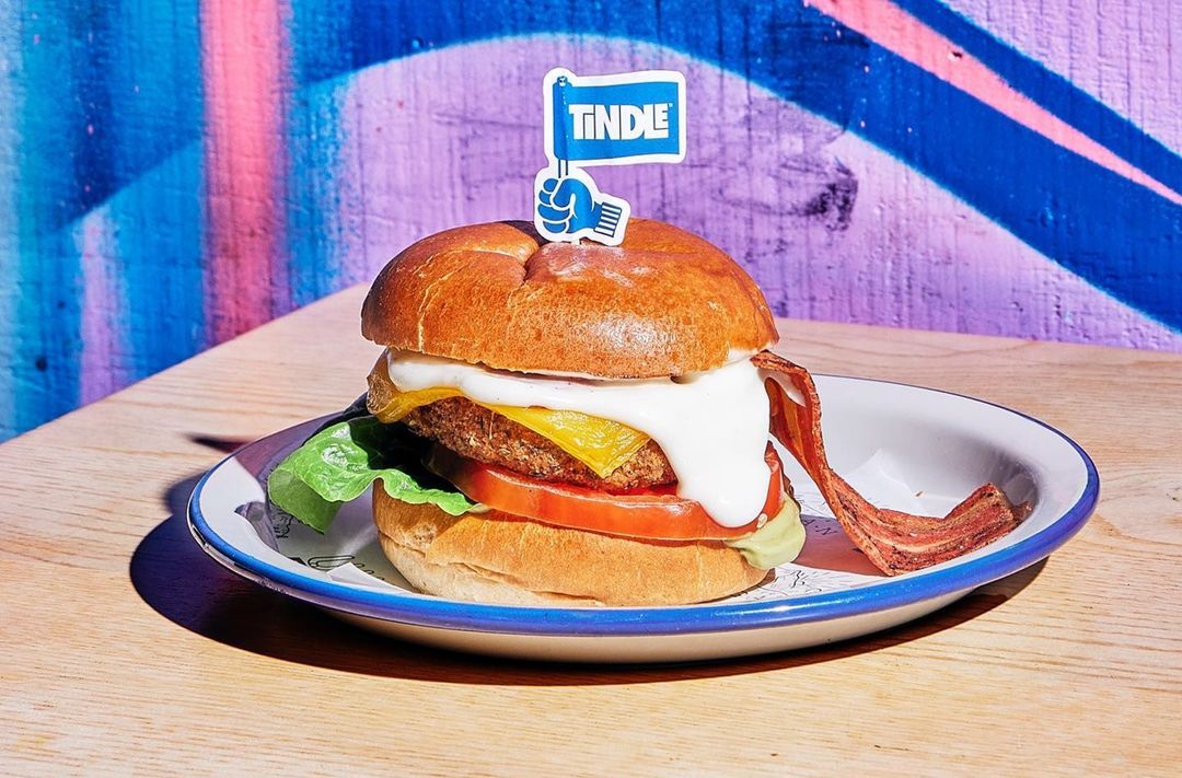 7 Top Indoor Growing Beginner Tips (An Easy Guide)