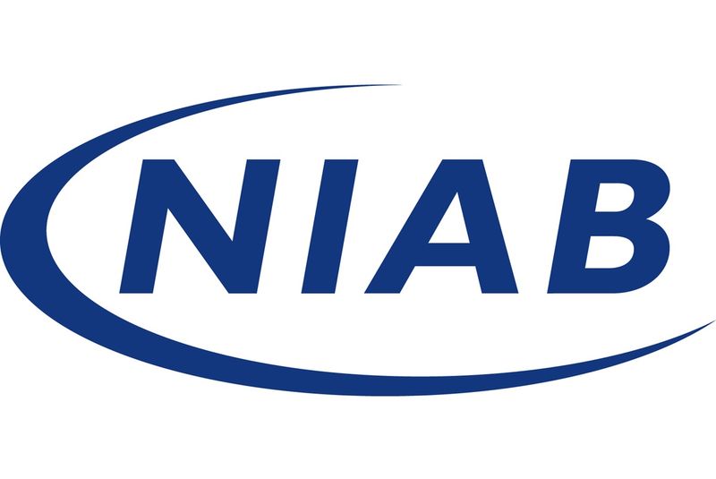 7 Top Indoor Growing Beginner Tips (An Easy Guide)