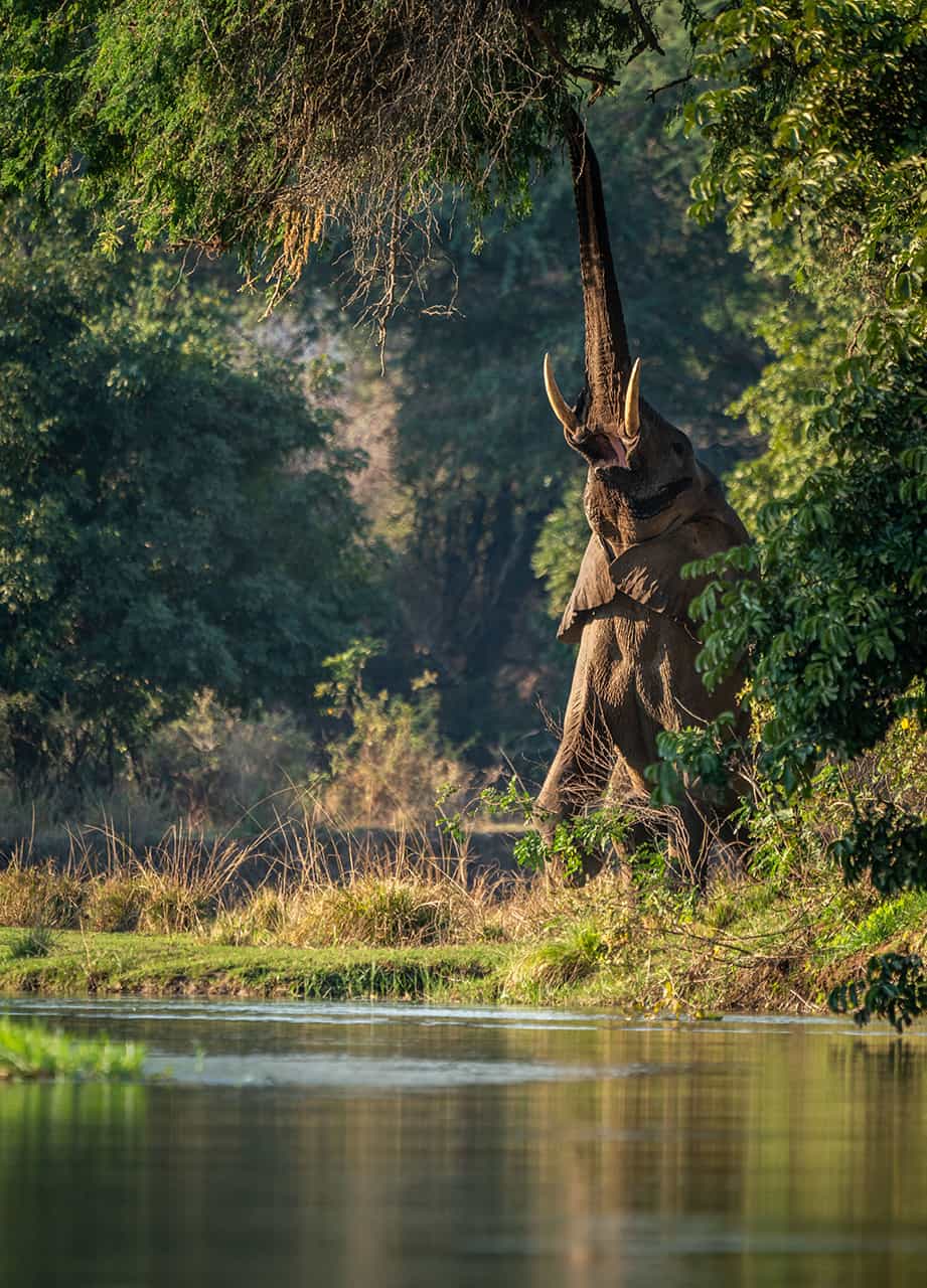 Self-Drive Tanzania | Tanzania Safaris | Safari Drive