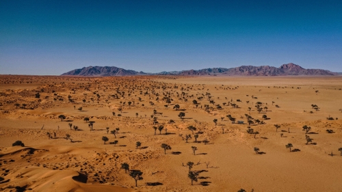 10 Amazing Facts About Namibia | Safari Drive