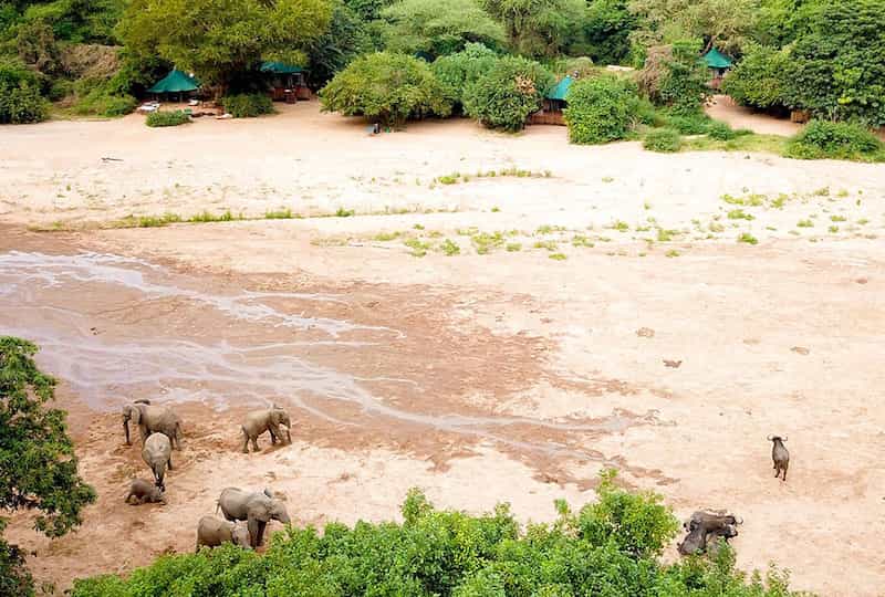 Classic Tanzania | Self-Drive Tanzania with Safari Drive