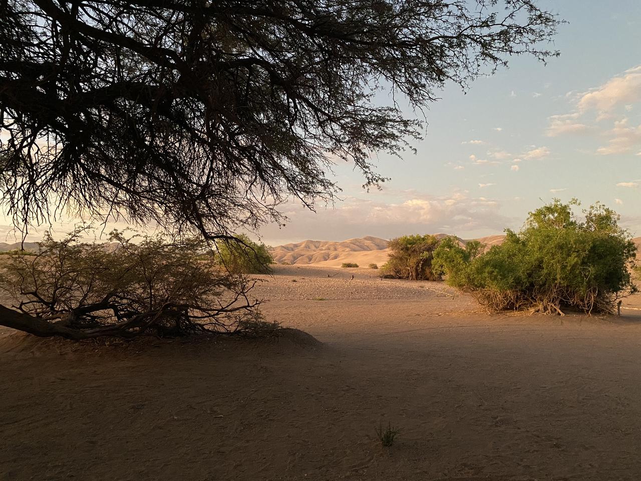 Namibia in Depth | Self-Drive Namibia with Safari Drive