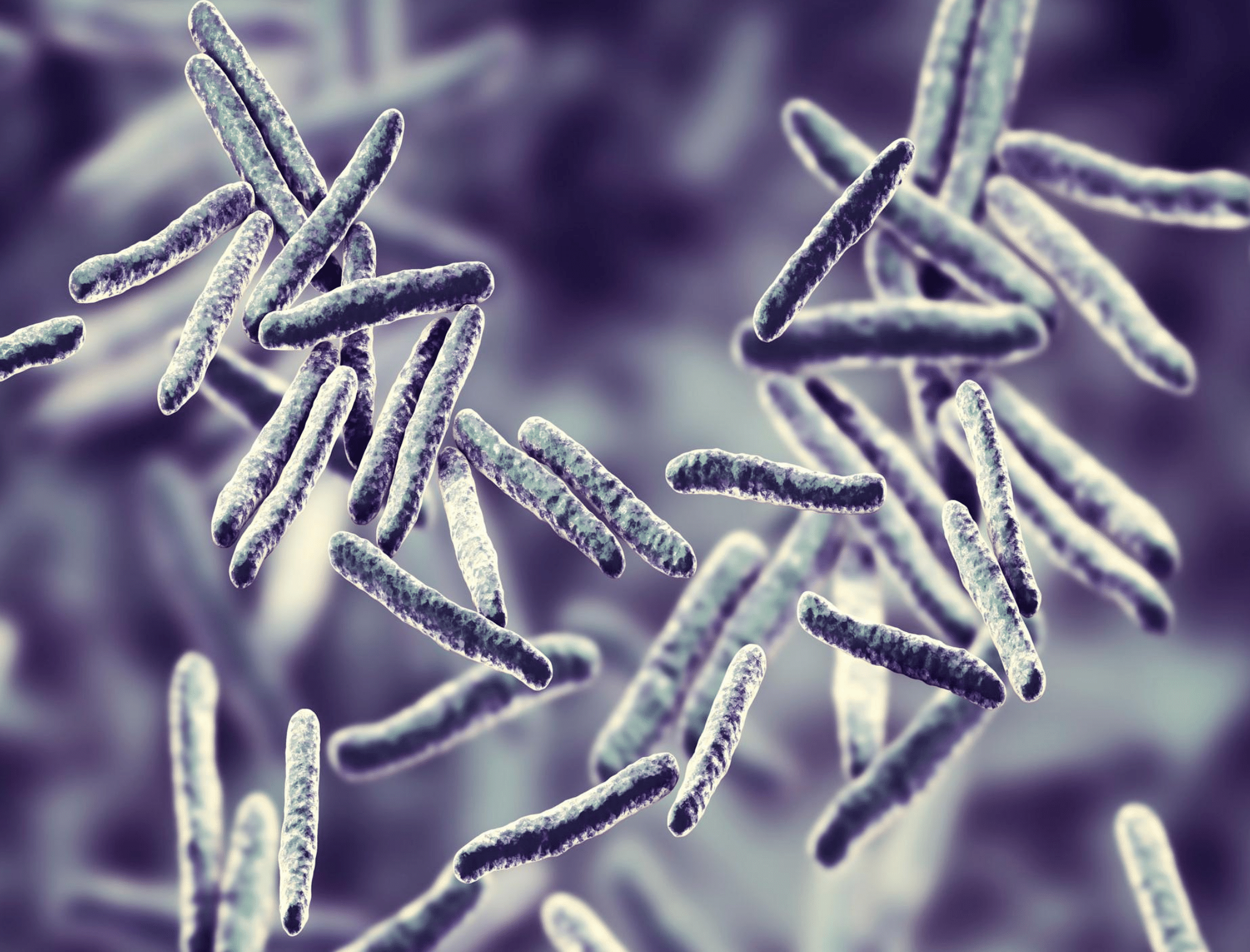 Stealth Pathogens: Cell Wall-Deficient Bacteria in Chronic Disease ...