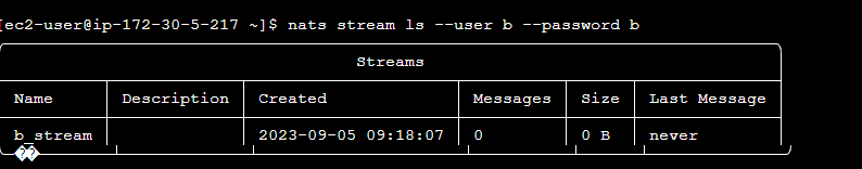 Unlocking Key Insights in NATS Development: My Journey from Novice to ...