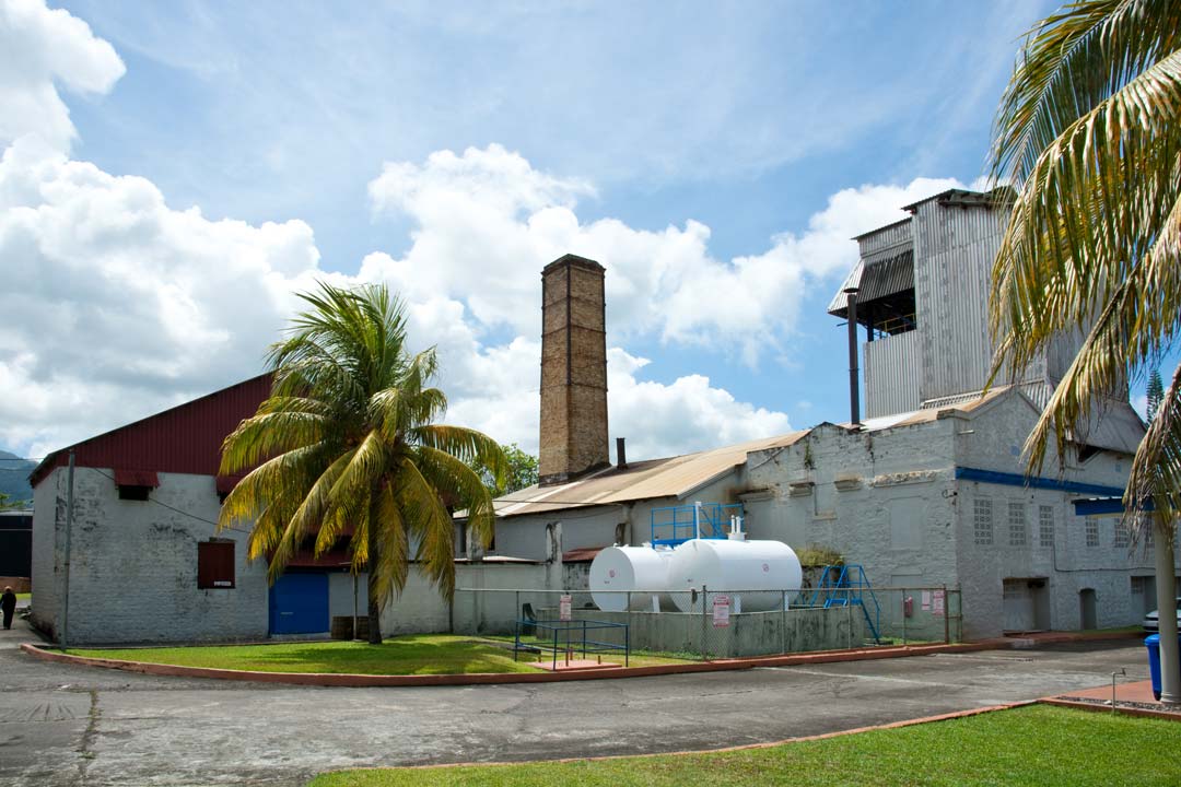 Good Spirits in Good Hands