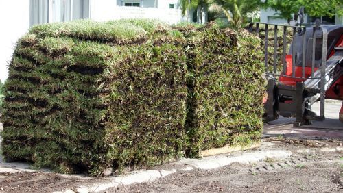 Lawn Nursery | Grass & Turf For Sale Melbourne | All Green