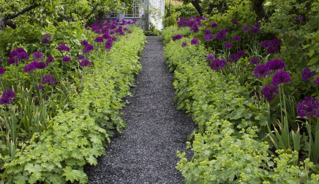 Garden Toppings Melbourne | Driveway & Path Toppings