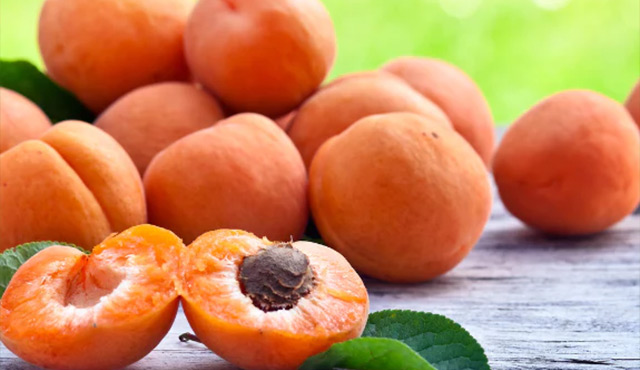 Apricot Trees For Sale Melbourne | Buy Fruit Trees | All Green