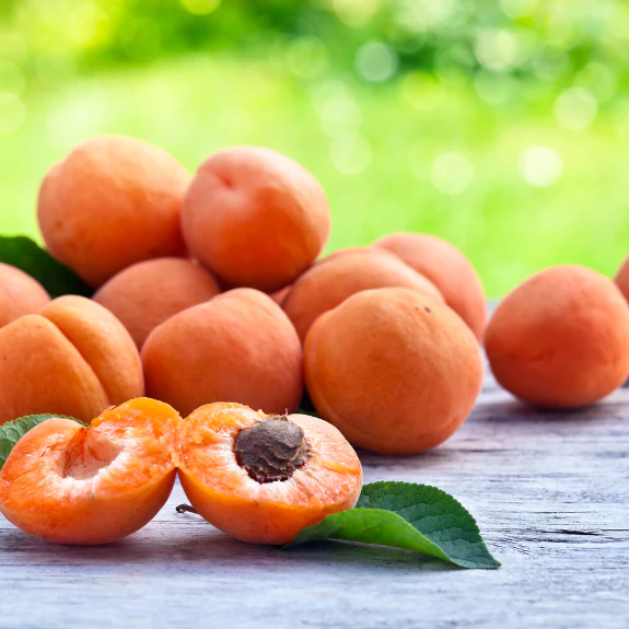 Apricot Trees For Sale Melbourne | Buy Fruit Trees | All Green