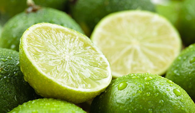 Lime Trees for Sale Melbourne | Buy Fruit Trees | All Green