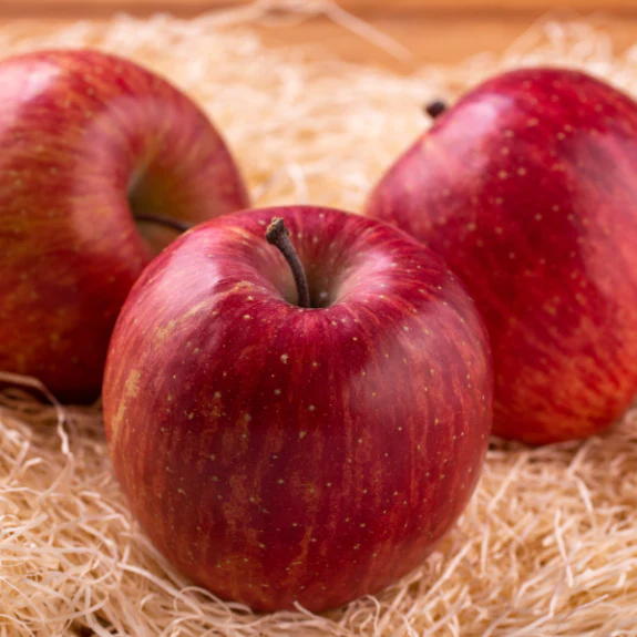 Apple Trees Melbourne | Apple Trees For Sale