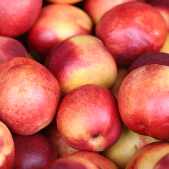 Nectarine Trees For Sale Melbourne | Buy Fruit Trees | All Green