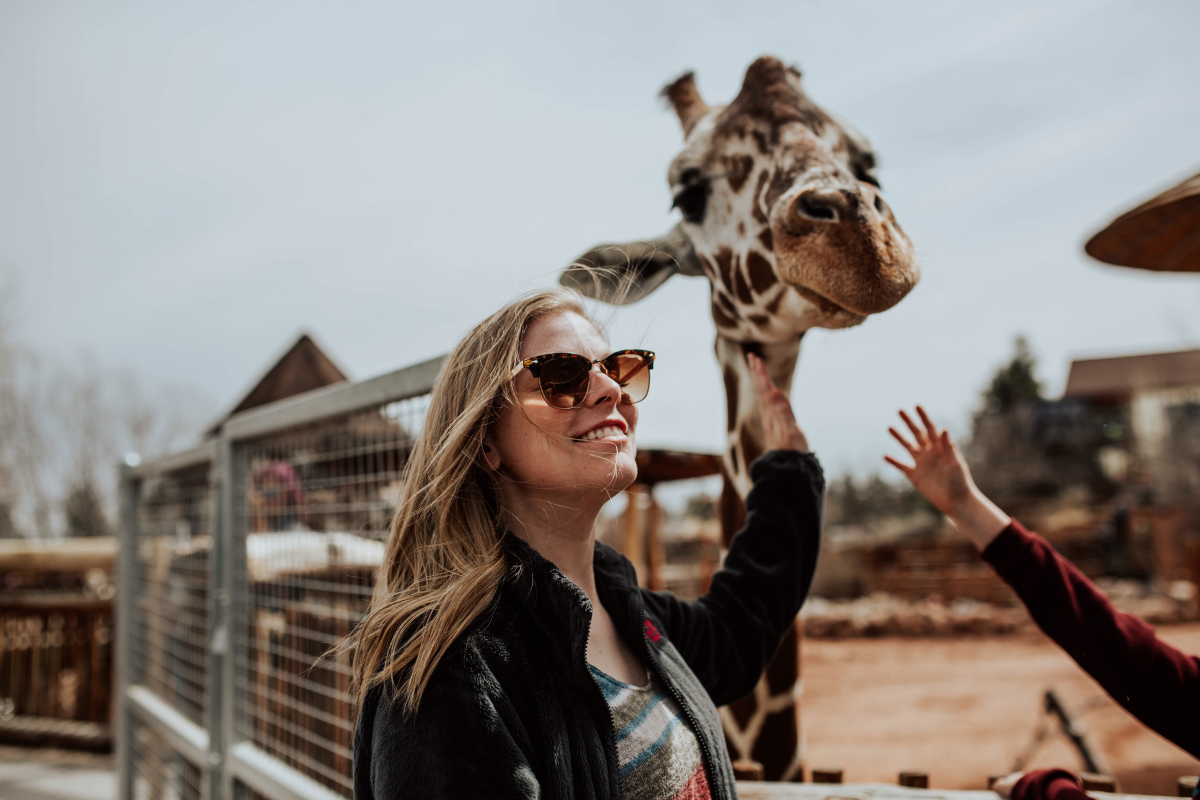 How zoos can use apps to support social distancing and aid recovery ...