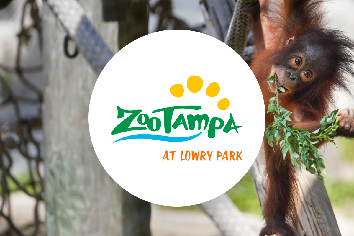 ZooTampa's new interactive app arrives just in time for spring break ...