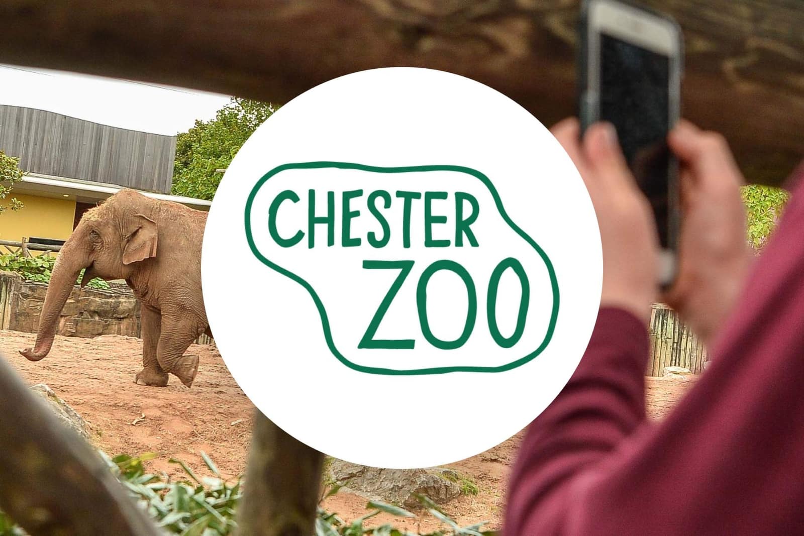 Guests at Chester Zoo go wild for its new mobile app, powered by ...