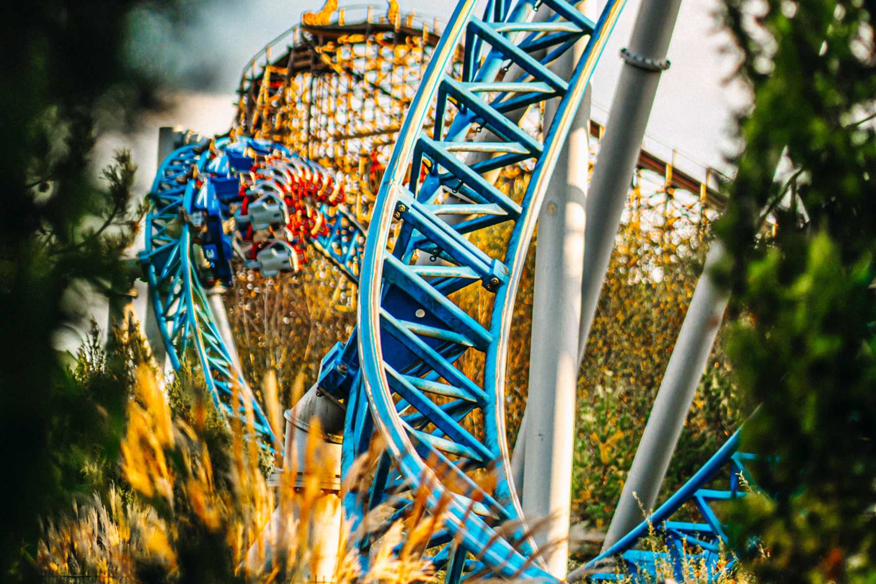 Beat the crowds: How to improve your attraction’s operational ...