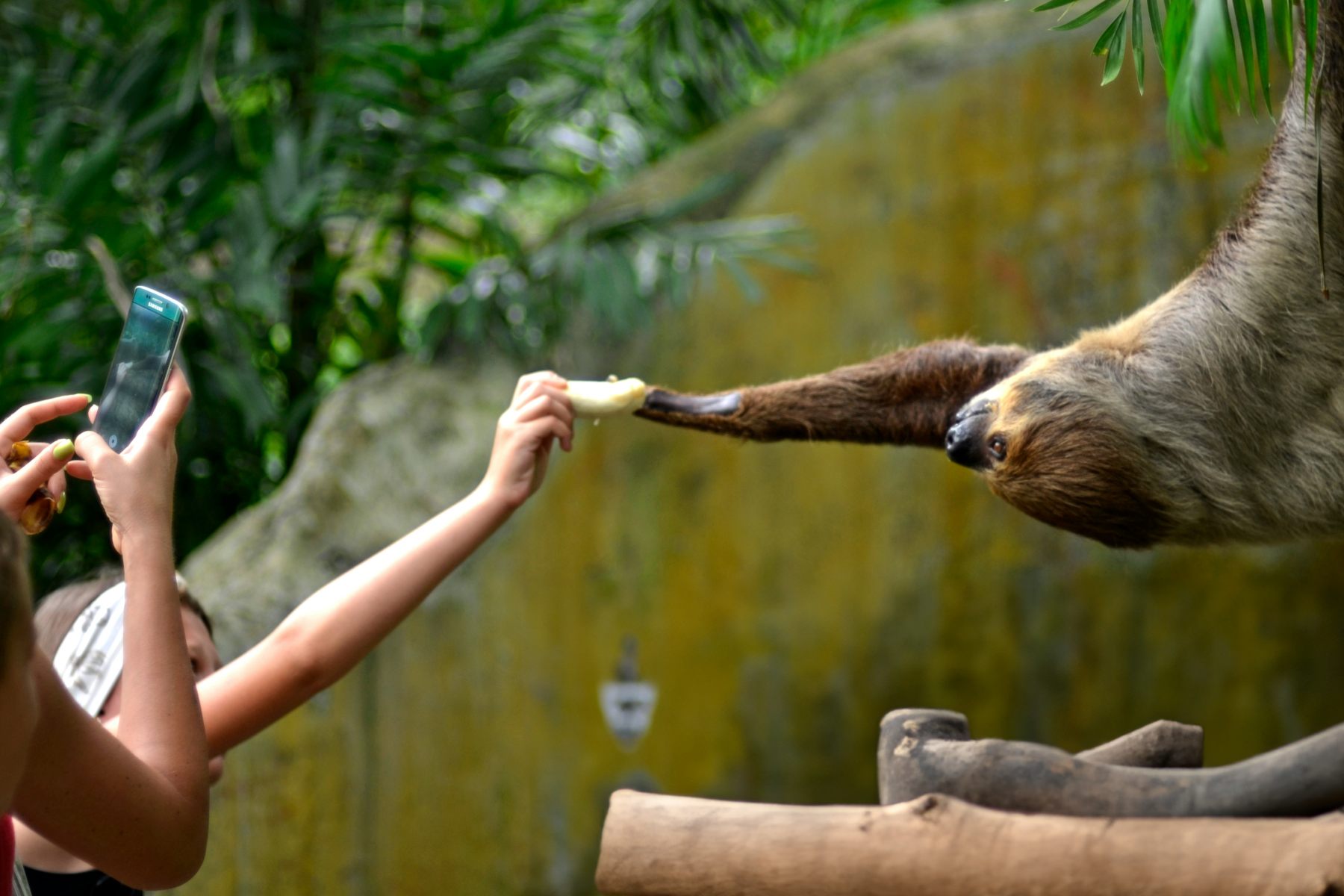 Learn from the experts: How a mobile app platform seamlessly connects ...