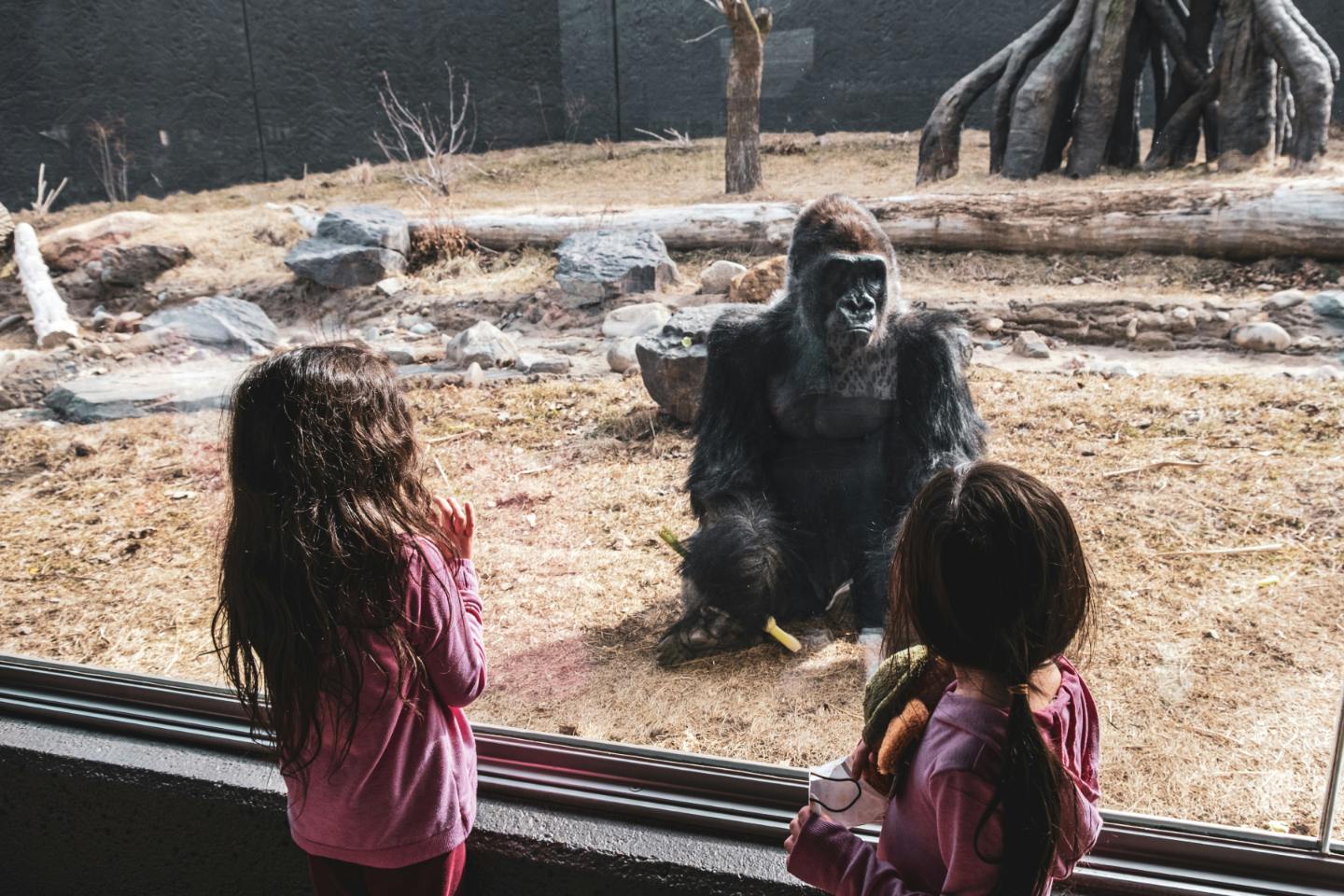 Learn from the experts: How a mobile app platform seamlessly connects ...