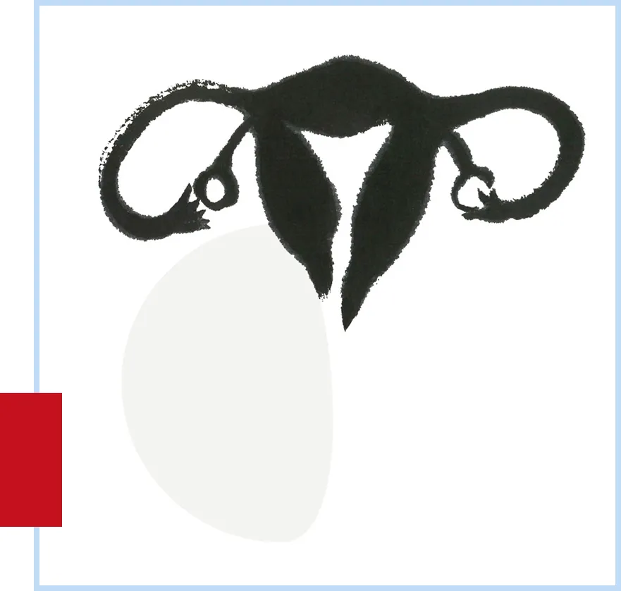 Female fertility profile test