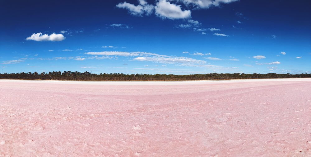 FE712 - DIMBOOLA - Firefly Express Bus service