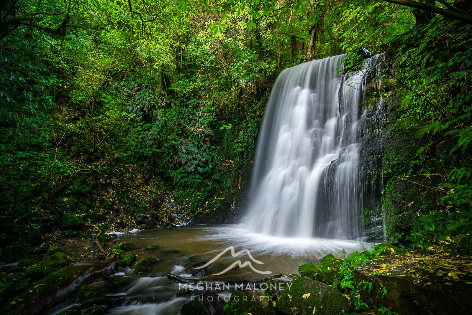 NZ's Best Waterfalls are in the Catlins