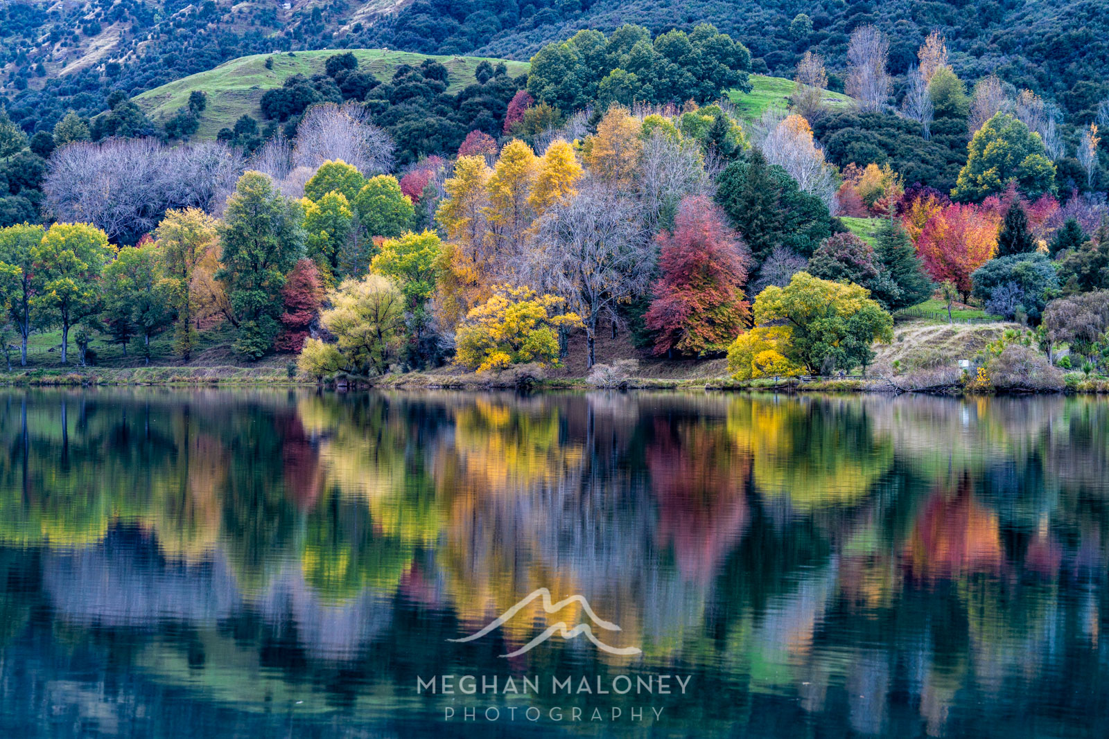 Amazing Autumn Photography Locations in New Zealand | Hawkes Bay