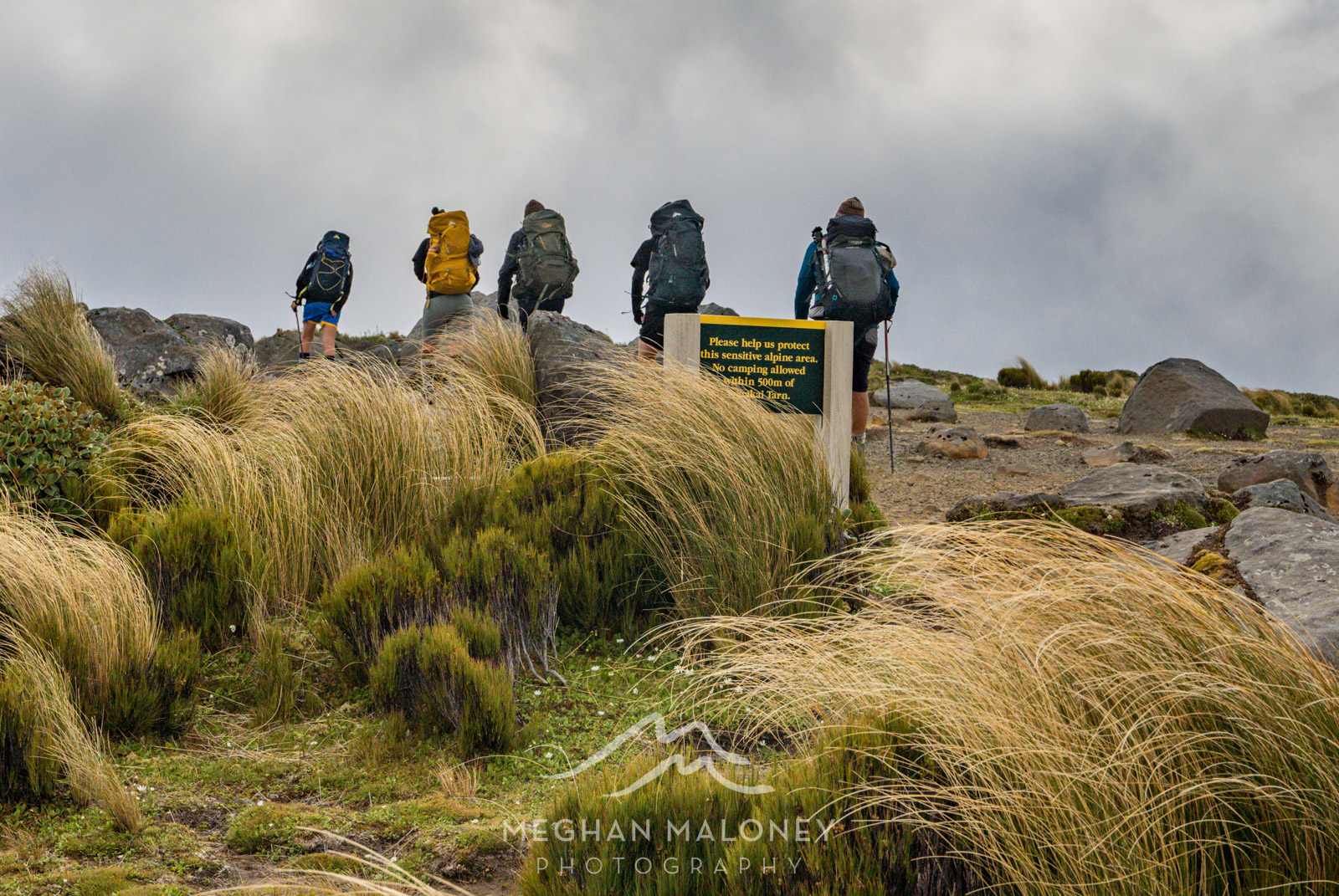 Pouakai Circuit 3 Day Hike Review | Taranaki's Greatest Walk | NZ Hikes