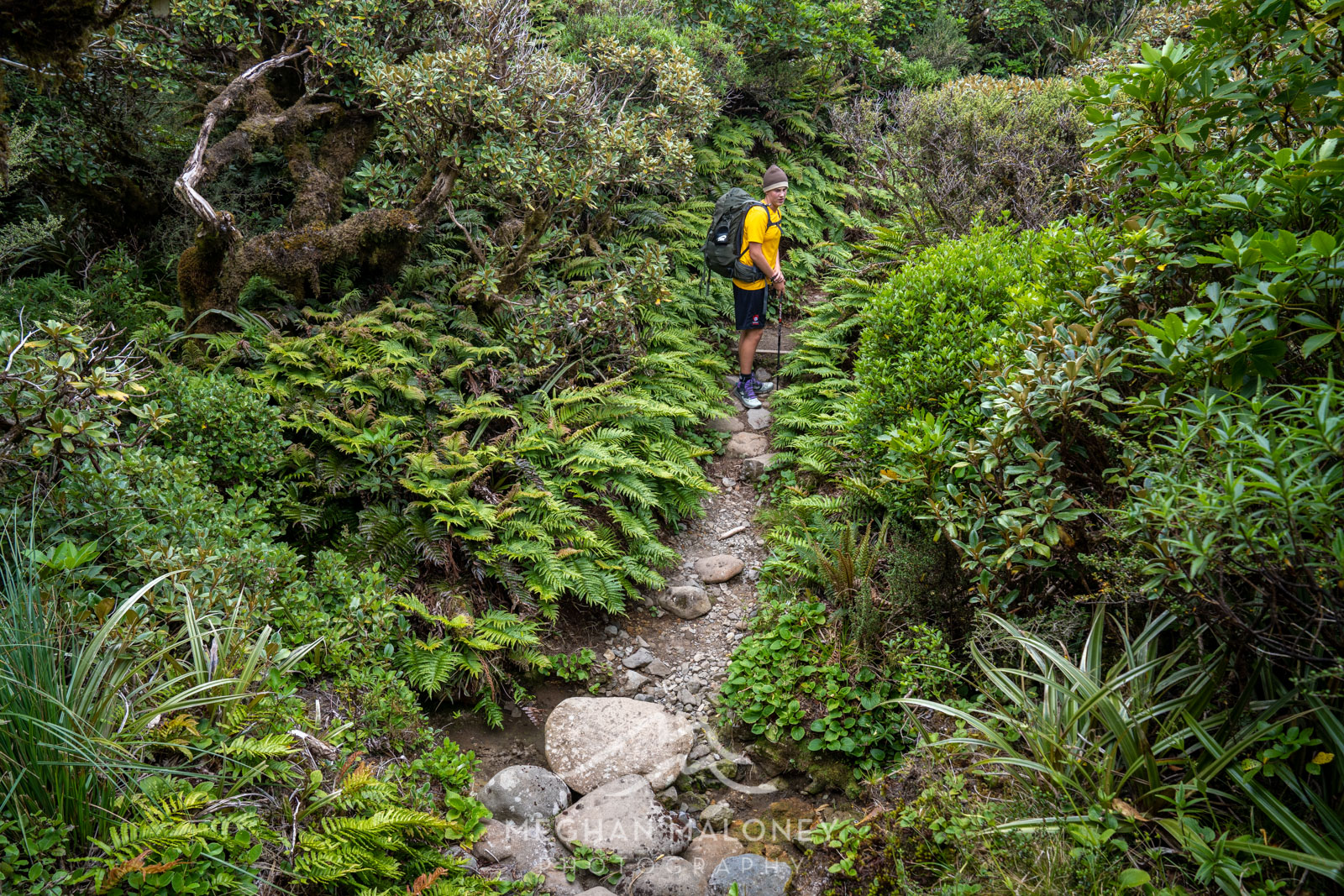 Pouakai Circuit 3 Day Hike Review | Taranaki's Greatest Walk | NZ Hikes