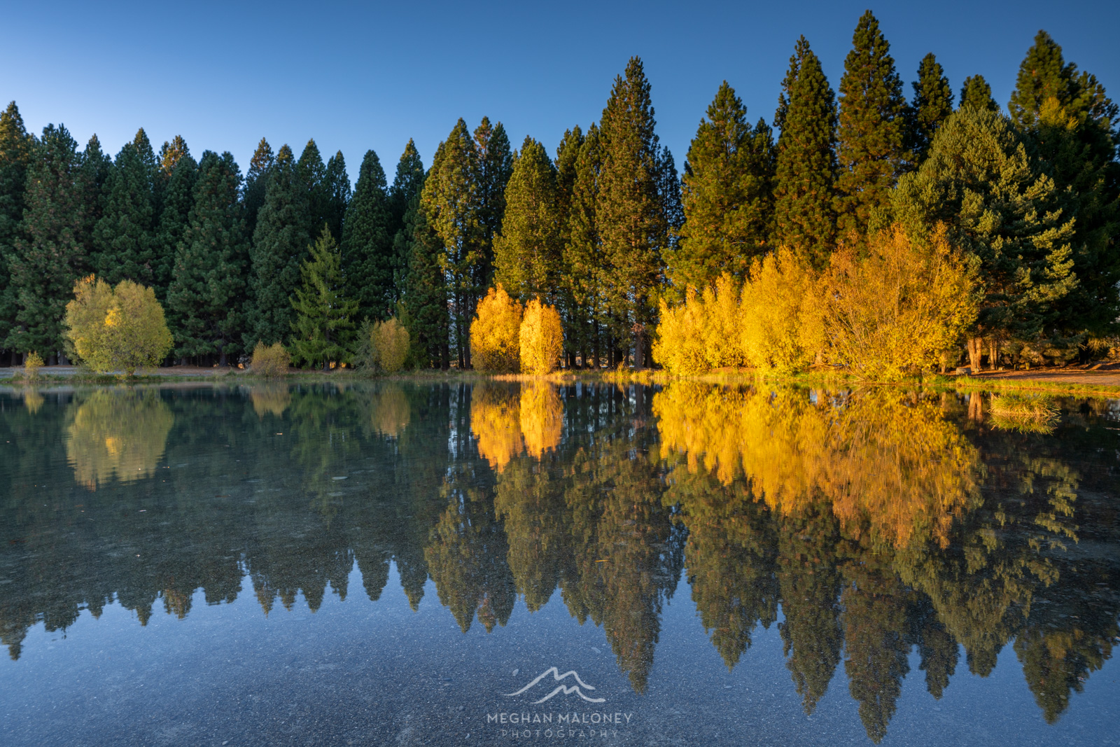 7 Amazing Autumn Locations in the South Island, NZ | Find the Best ...