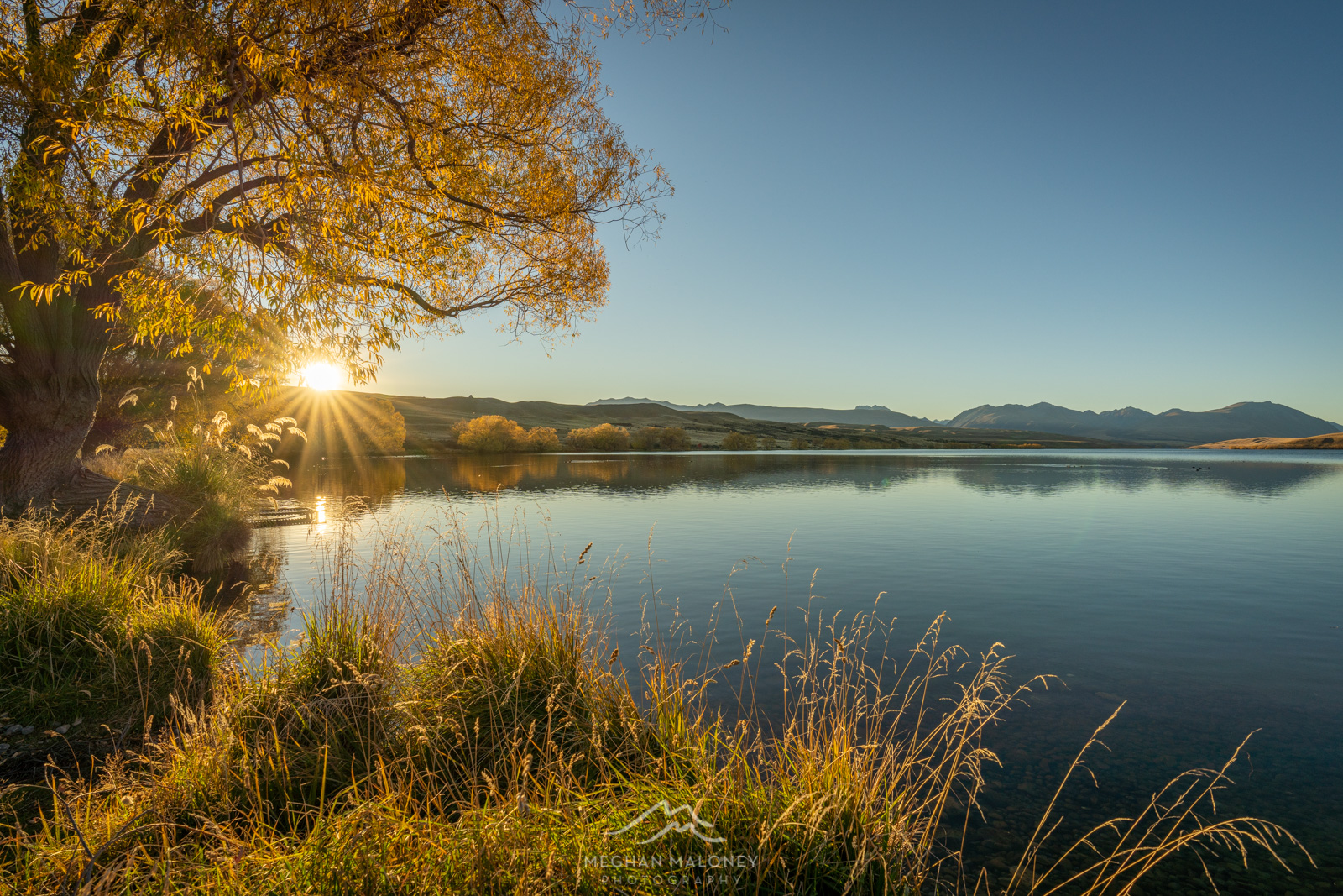 7 Amazing Autumn Locations in the South Island, NZ | Find the Best ...