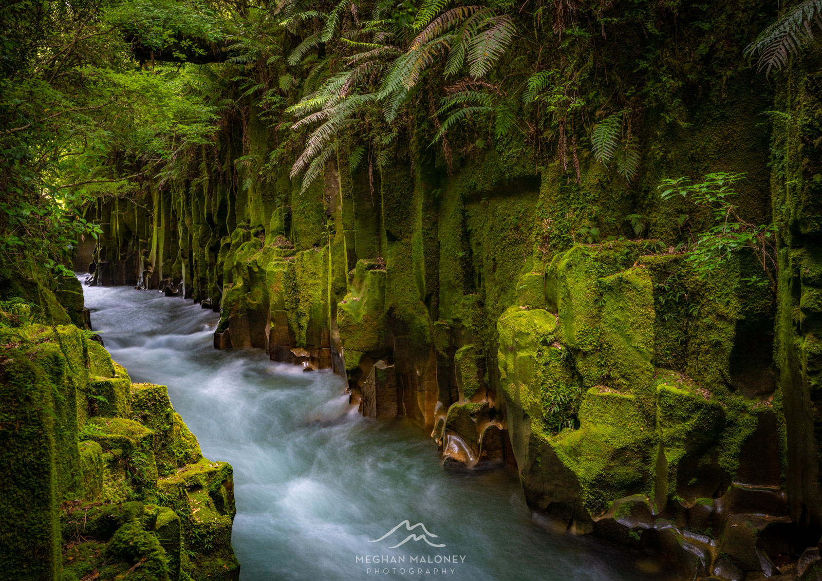 whirinaki forest river canyon
