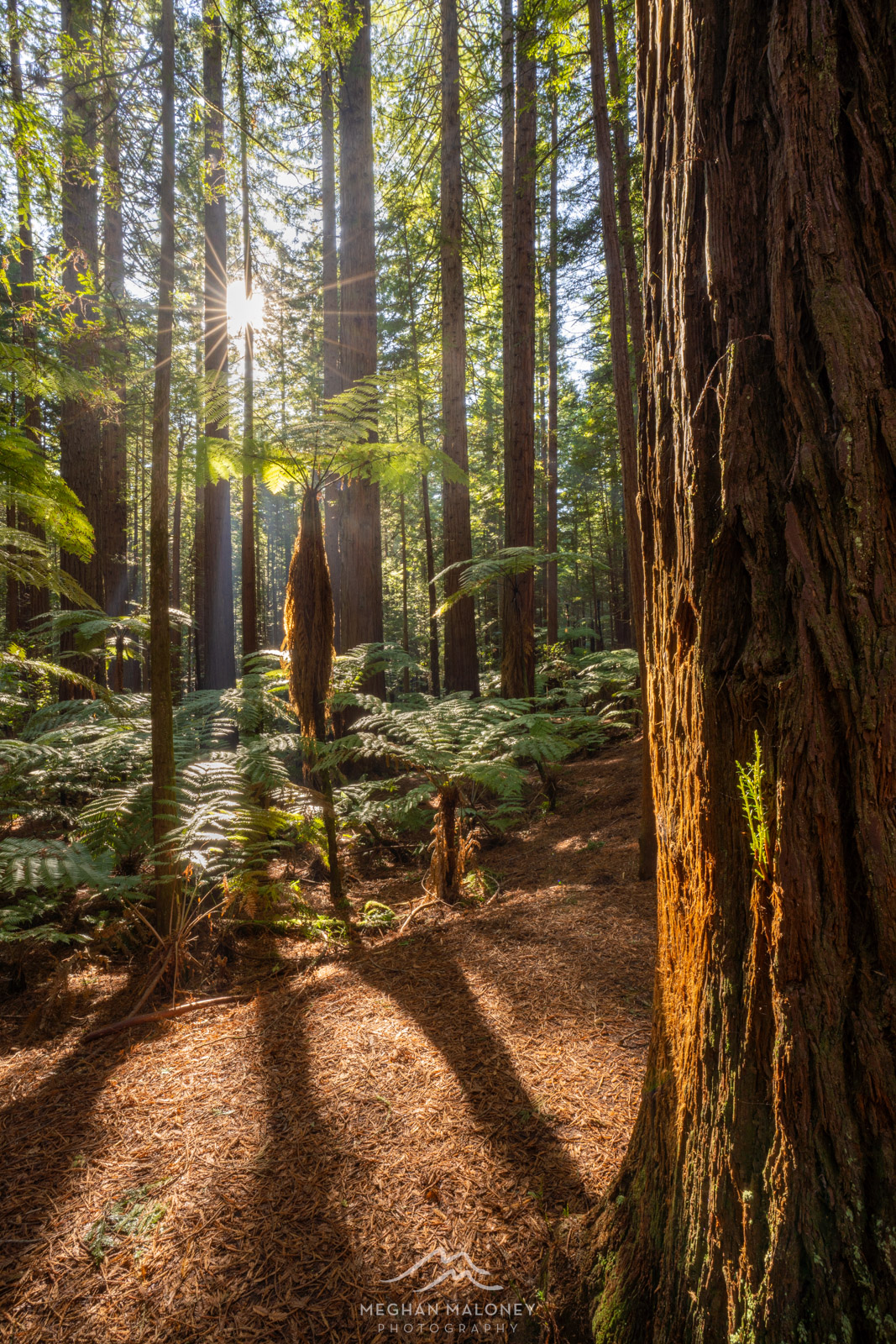 2. What time of Day?