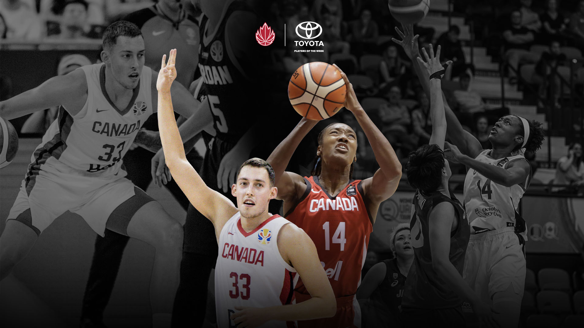 Kyle Wiltjer and Kayla Alexander Named Toyota Canada Players of the Week.