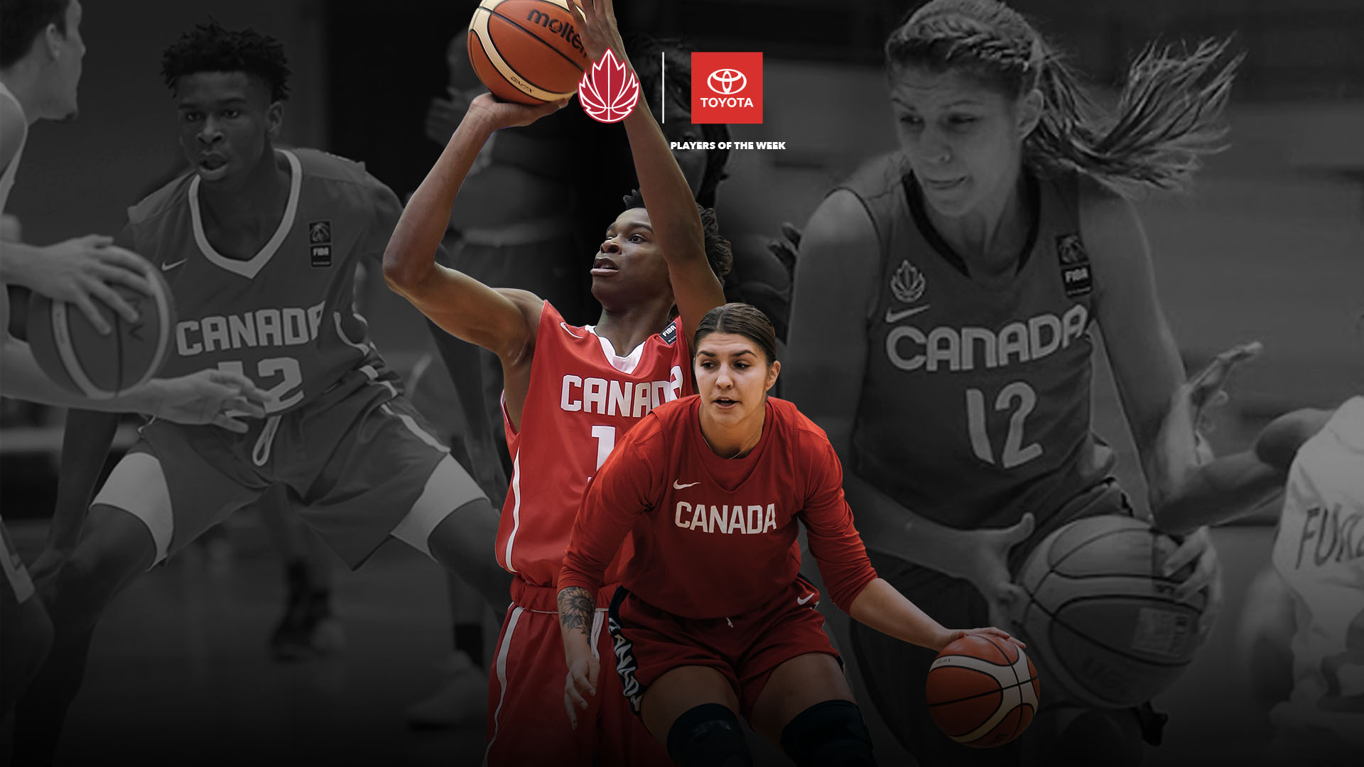 Shai Gilgeous-Alexander et Emily Potter nommés Joueurs Toyota Canada de ...