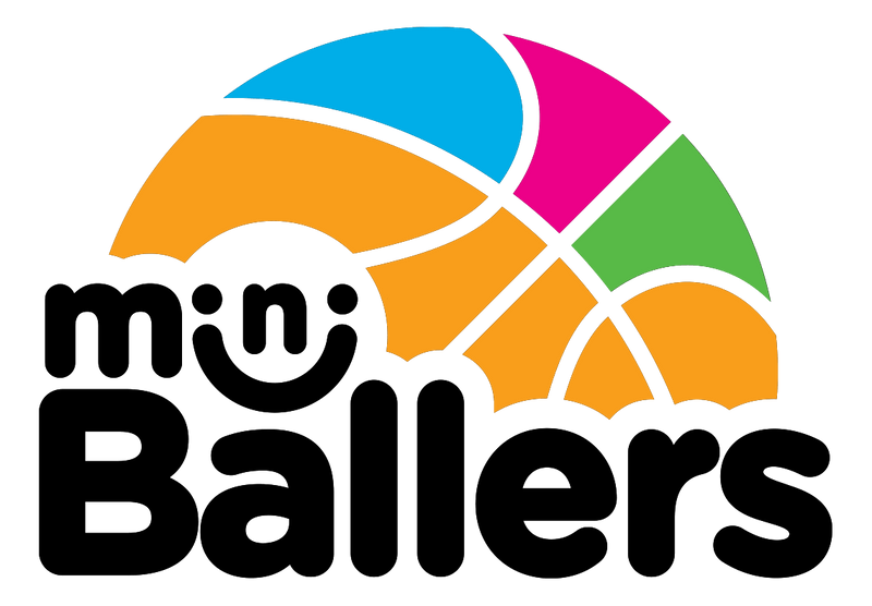 Verification Program