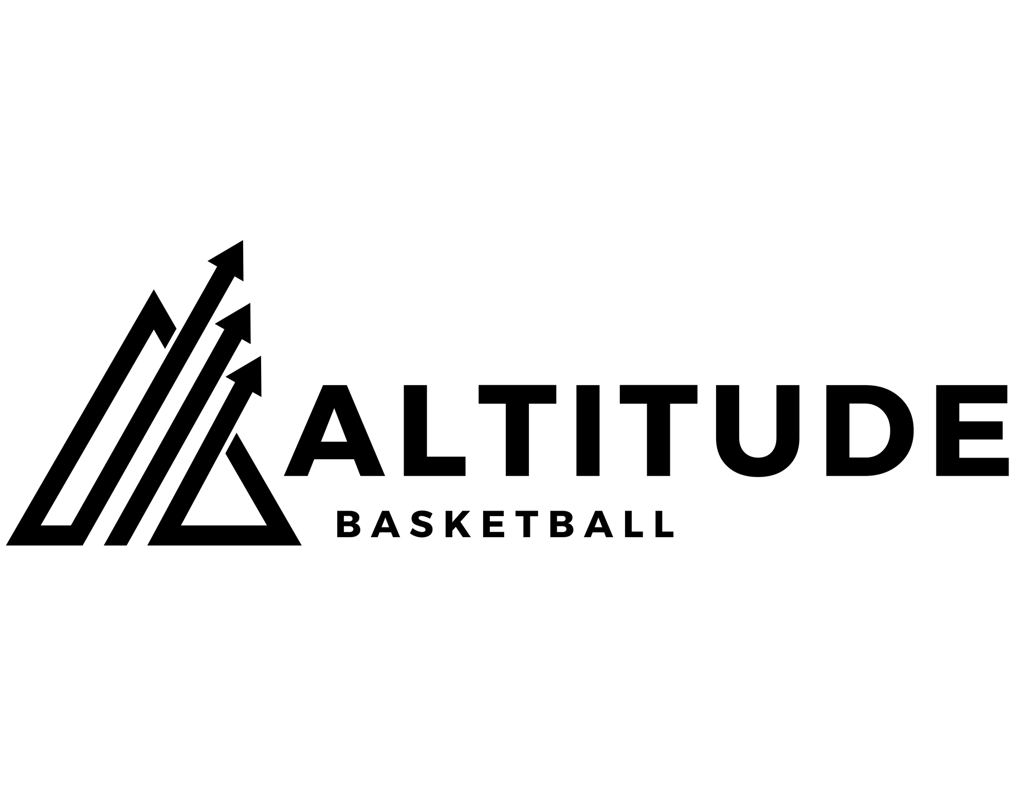 Verification Program