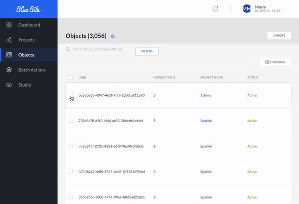 V3 Object Manager Overview 