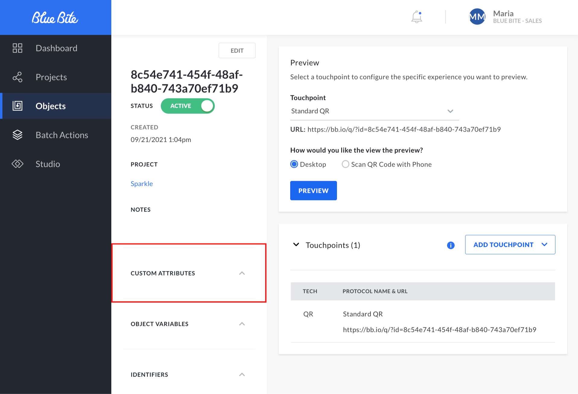 V3 Object Manager Overview