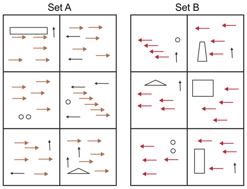 UCAT Practice Test & Practice Questions 2024 | Blog | Medify UK